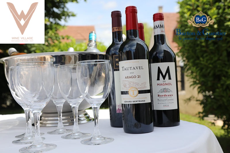 Rượu vang M de Magnol Bordeaux